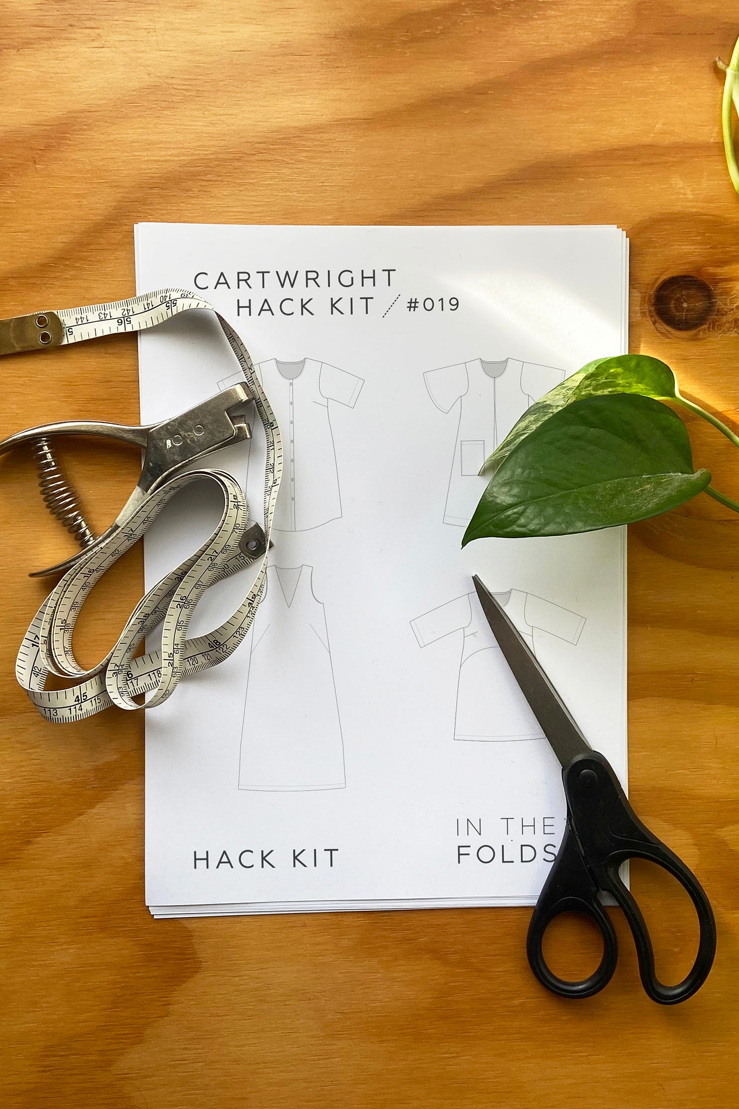 Cartwright dress + top – In the Folds